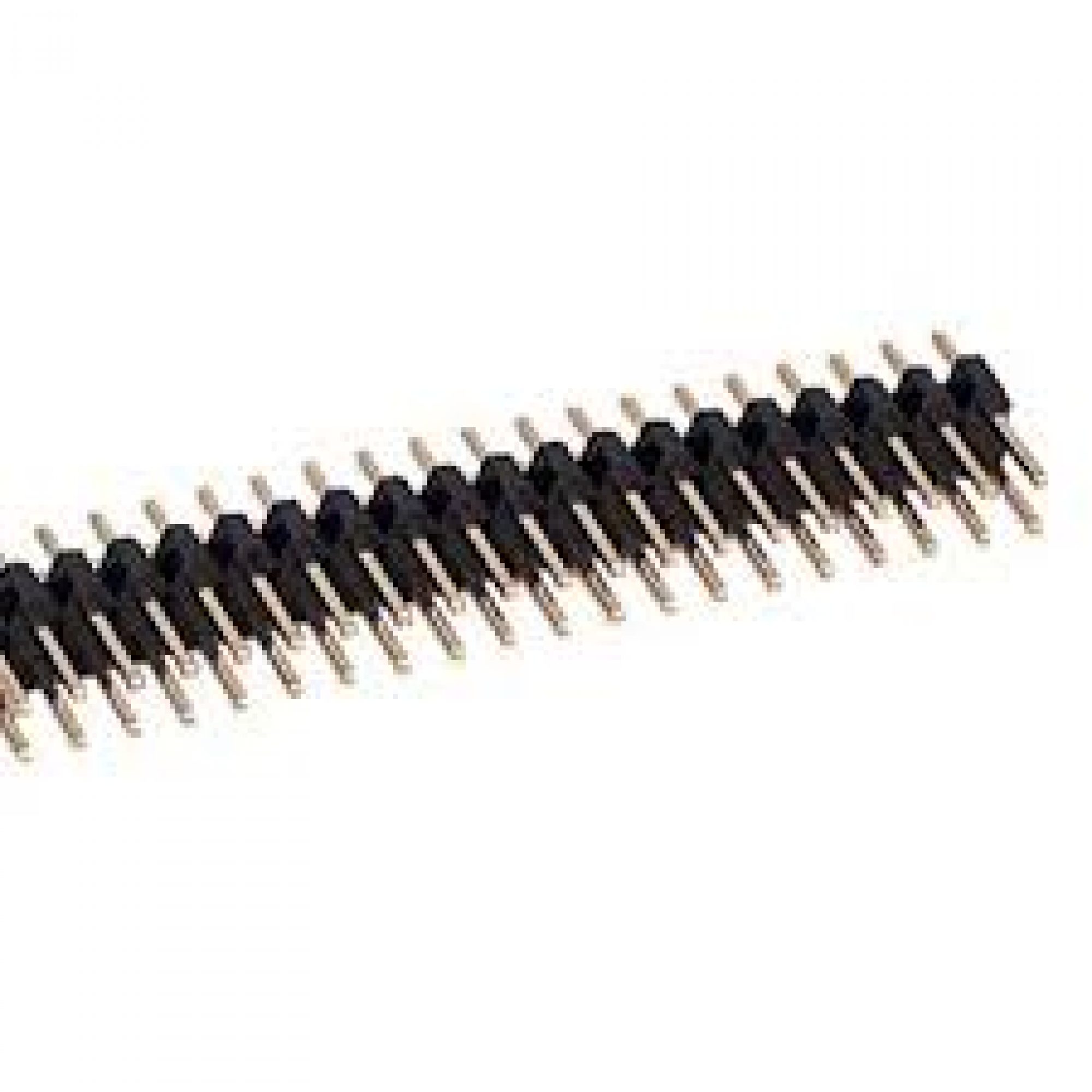 Double Row Male Pin Header 2.54MM Pitch 40 Pin | Majju PK